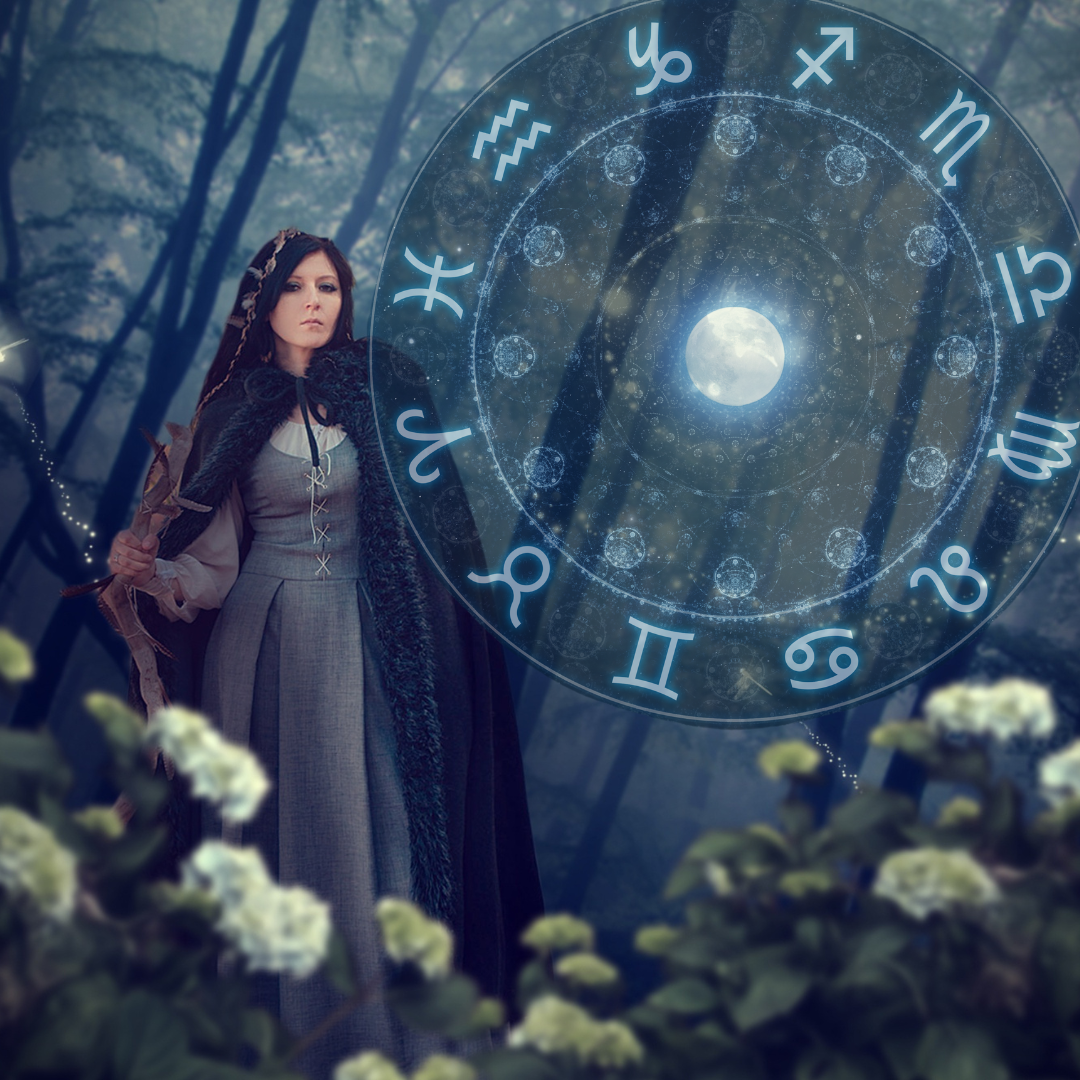 Fairy Magic for Every Zodiac Sign: Discover Your Elemental Fairy Guide ...